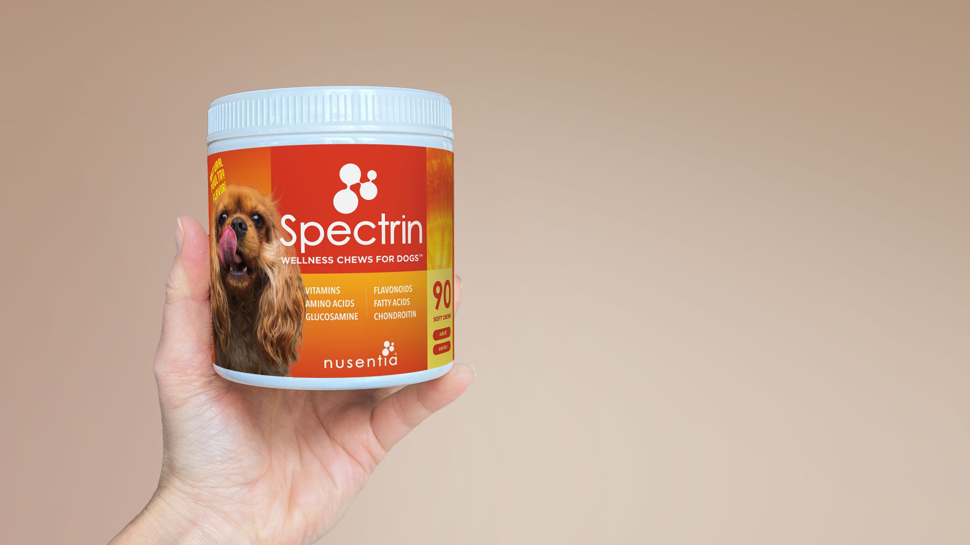 Spectrin™ : Vitamin Treats for Dogs with Glucosamine Chondroitin – Nusentia