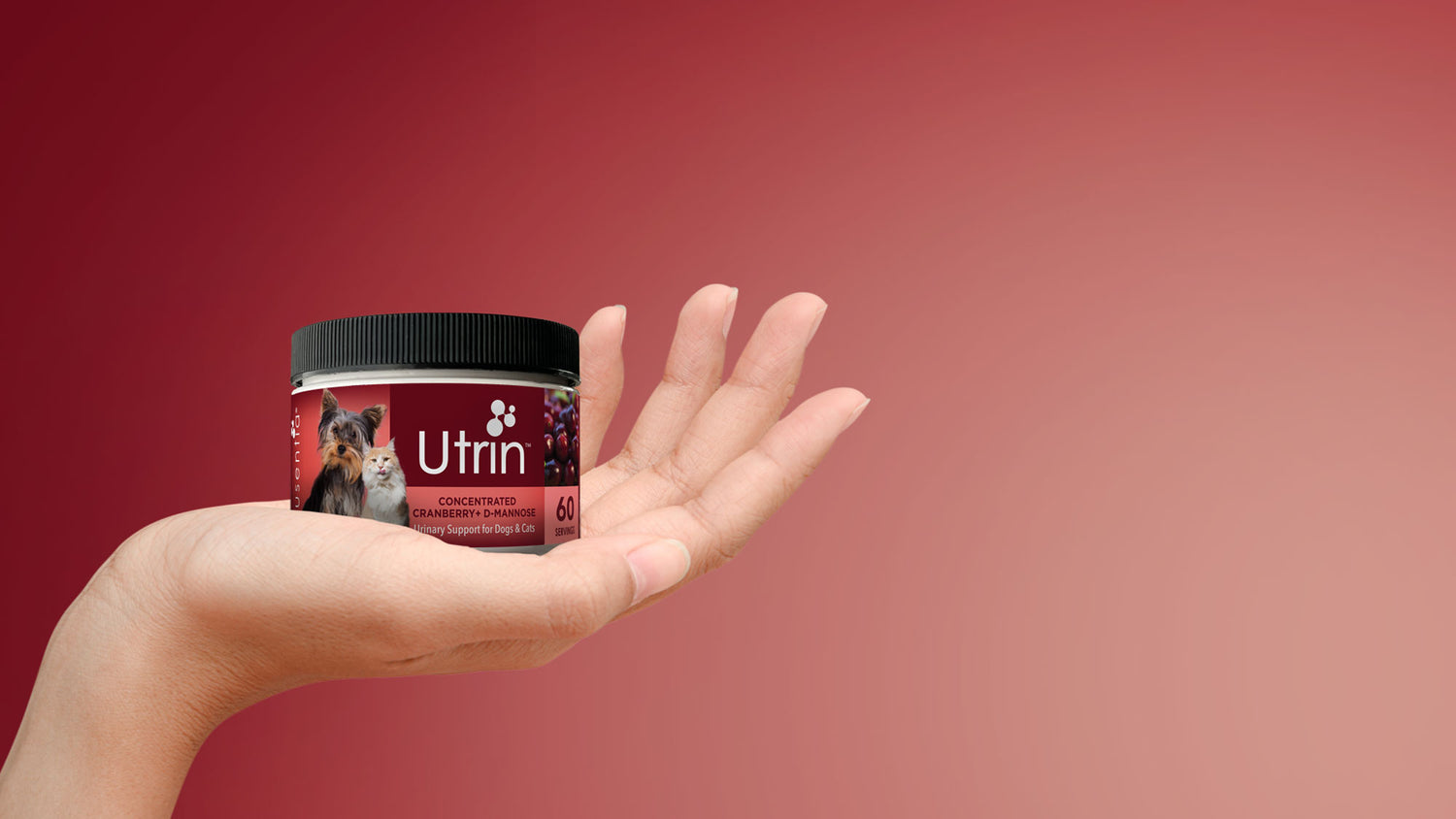 Utrin® : Natural UTI Supplement for Dogs and Cats : D-Mannose ...