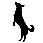 Spectrin for Dogs : Liquid Canine Vitamins – Nusentia